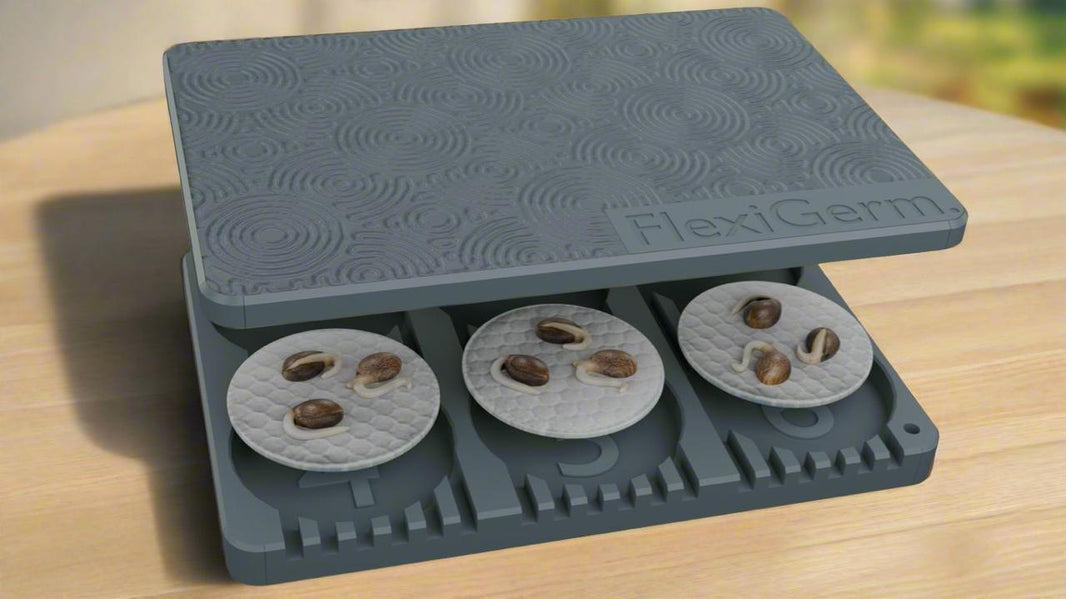 Root Nerds- The science of seed germination is our business